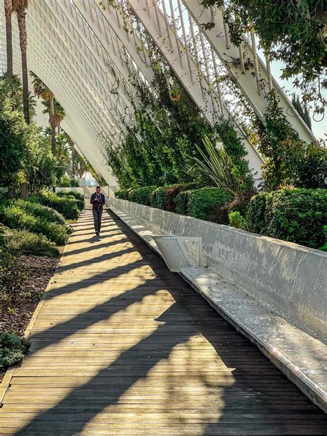 Ландшафтный дизайн Ibrahimovs Group проектирование и благоустройство