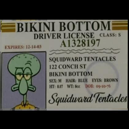 Squidwards Drivers License Roblox Item Rolimons