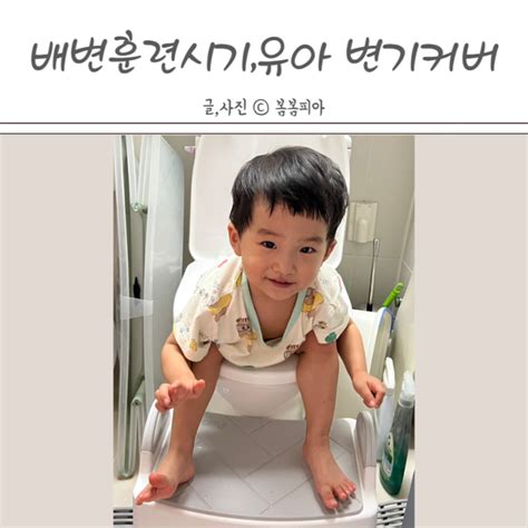 아기 배변훈련 시기 방법 유아 변기커버 유아 겸용 변기커버 준비 네이버 블로그