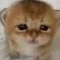 Release Simple Fov Changer