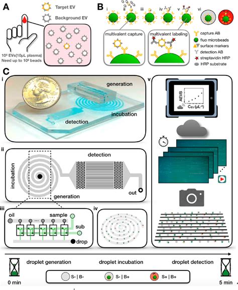 high throughput deva a detecting specific evs at single particle