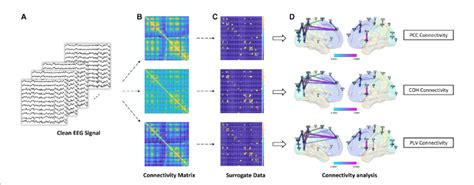 schematic diagram of brain network analysis a the clean eeg signal