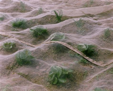 Our Mission Naked Farmer S Locally Sourced Food Partners Naked Farmer