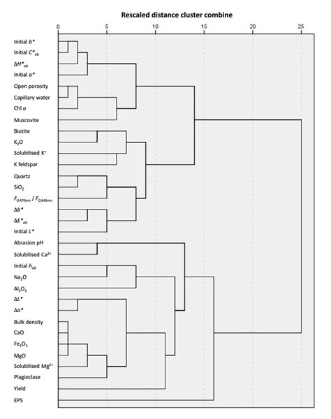 11 Dendrogram Constructed By Using Between Groups Average Linkage Of Download Scientific