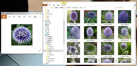 基于tensorflow slim模型调参的flower102鲜花分类过程 知乎