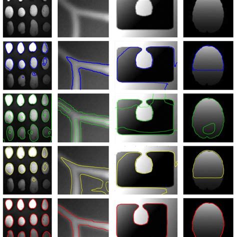 Segmentation Results Of Four Models For Real Images The First Column