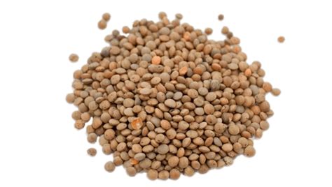 Lentils Protein Legumes Vegan Cooking Png