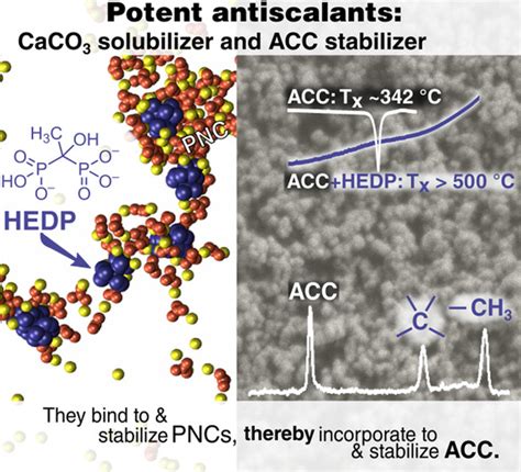 Caco3 Molecular Structure