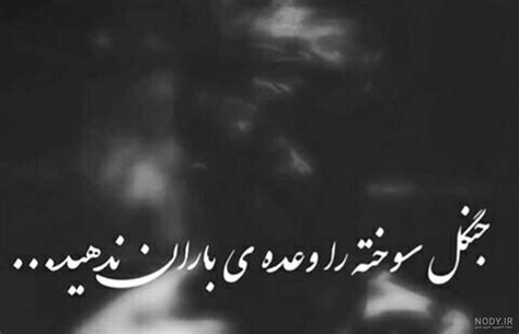 عکس پروفایل لاتی تلگرام عکس نودی