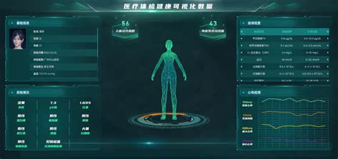 100个酷炫的数据可视化大屏总有一款适合你含演示实例 完竣世界