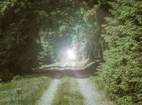 Killer Aesthetic On Tumblr