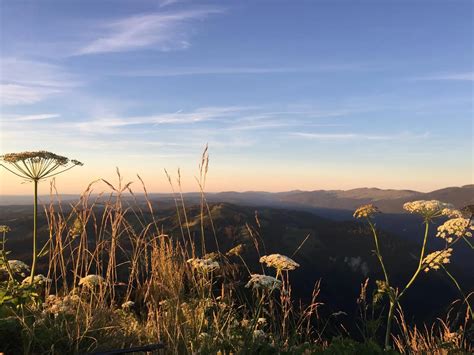 Passion Jura La Borne Au Lion Et Le Crêt De Chalam
