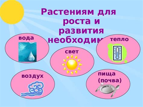 Презентация "Условия, необходимые для развития растений"