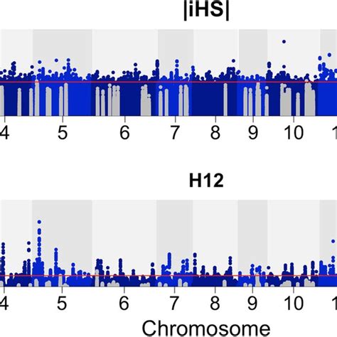 Manhattan Plot Of The Two Selection Scans A Absolute Ihs And B H12