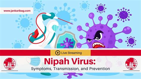 Nipah Virus Symptoms Transmission And Prevention