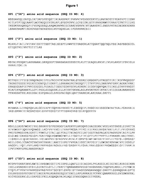 Recombinant Host Cell Engineered To Overexpress Helper Proteins