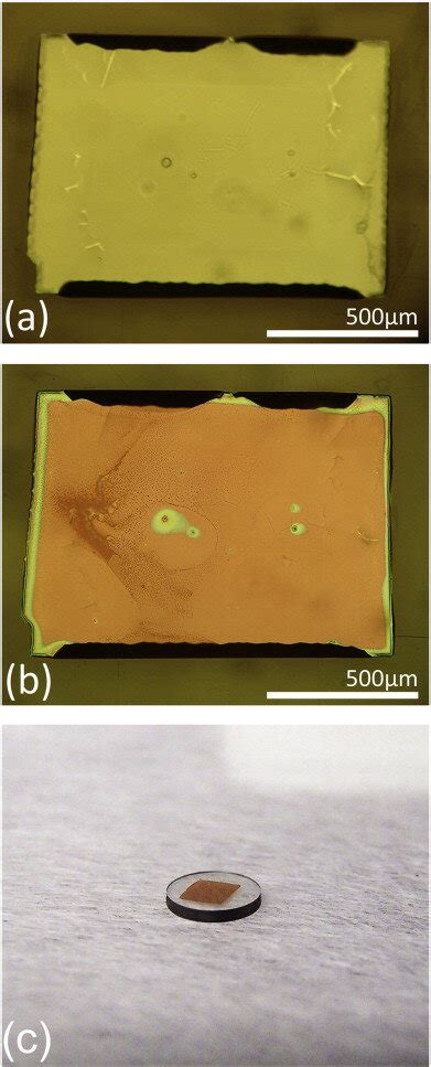 Processed Samples A Sample Following Polishing And Etching Of The
