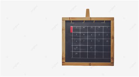 Filemaker Activity Timeline Timeline Infographic Wedding Png