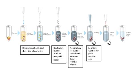 BioChain Presents A Totally Automated Nucleic Acid Extraction Platform Labcritics
