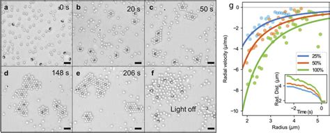 Ae Light Induced Assembly Of Passive Colloids Around Active Download Scientific Diagram