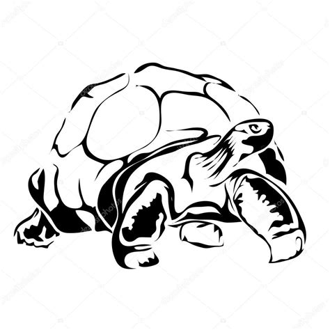 Outline Turtle Vector Image Can Be Use For Logo — Stock Vector © Bereg