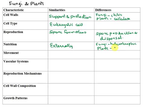 SOLVED Similarities And Differences Between Fungi And Plants