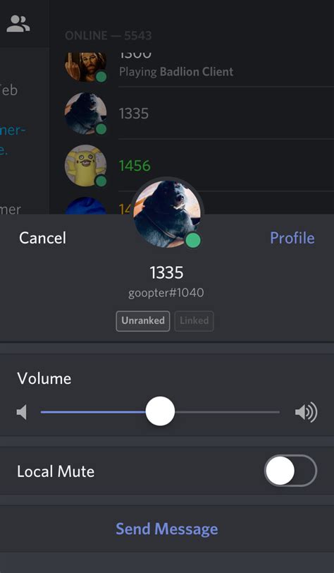 Inability To Join The Discord Server Hypixel Forums