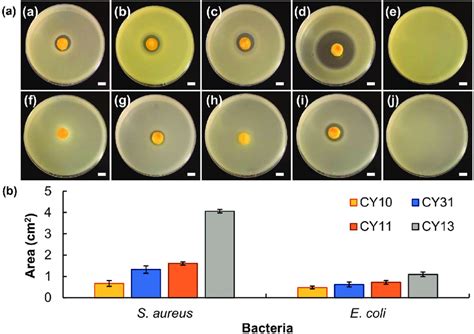 A Images Showing The Zone Of Inhibition Induced By A F Cy10 B