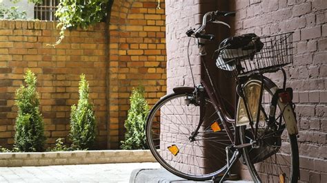 What Does Temporal Variation Mean In Ecology Ecology Today