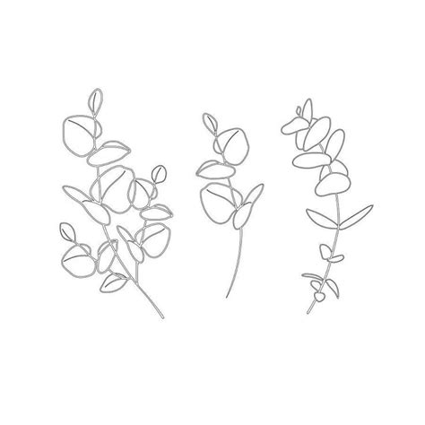 Eucalyptus Svg Eucalyptus Bundle Eucalyptus Svg Clipart Eucalyptus