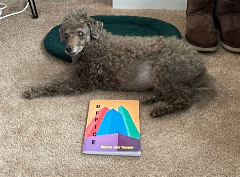 Office Tepper Susan Isla 9781733118514 Books