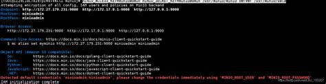 Minio之阿里云服务器安装error Unable To Initialize The Server Unable To I Csdn博客