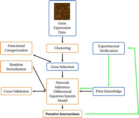 overview of applied workflow the green lines illustrate how the cyclic