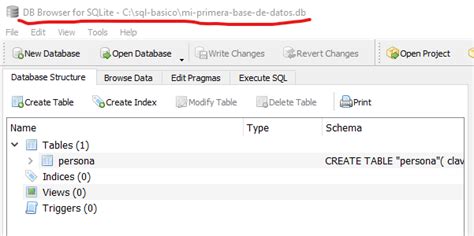 SQL básico Agregar datos a una tabla con SQL SCyASIG