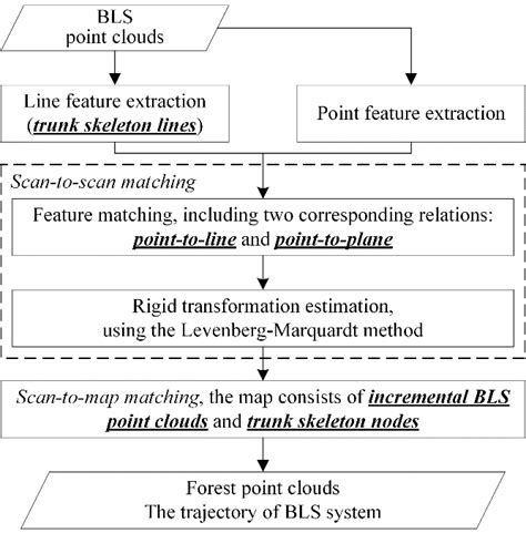 Flowchart Of Bls Based Forest Mapping Download Scientific Diagram