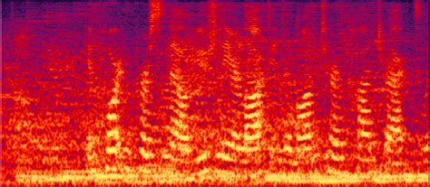 D²net A Denoising And Dereverberation Network Based On Two Branch
