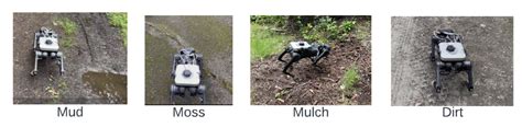 Learning To Walk In The Wild From Terrain Semantics