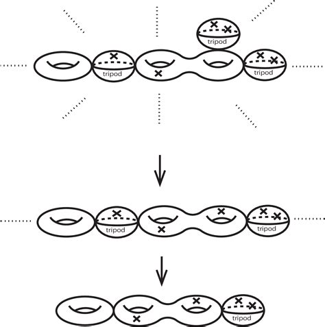 figure 1 from topics surrounding the combinatorial anabelian geometry