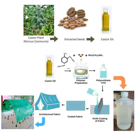 Castor Oil Based Polyurethane Urea Polymer Gian