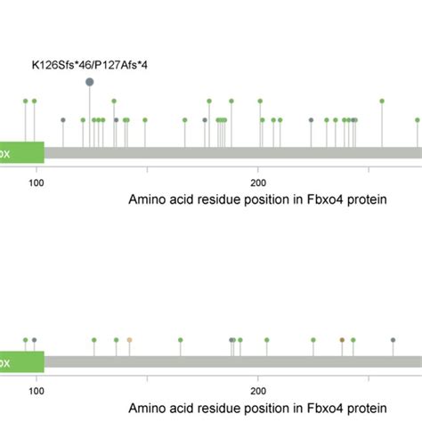The Cbioportal Analysis Reveals The Existence Of Fbxo4 Mutations