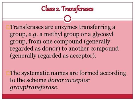 Classification Of Enzymes Part 2 Presented By Sania