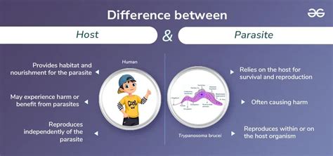 Difference Between Host And Parasite GeeksforGeeks