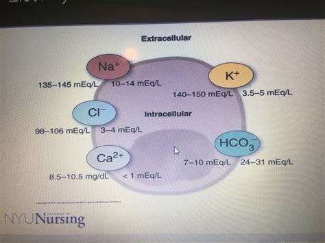 Electrolyte In Intracellular And Extracellular Spaces Nurse Physio