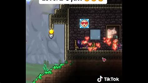 Terrarias Level 1 Gyat Chat Xxx Mobile Porno Videos And Movies