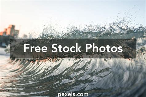 Special Forces Crest Photos Download The Best Free Special Forces