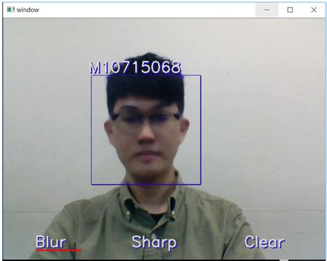 GitHub Etesia Face Detection OpenCV Face Detection And Partial Image Processing