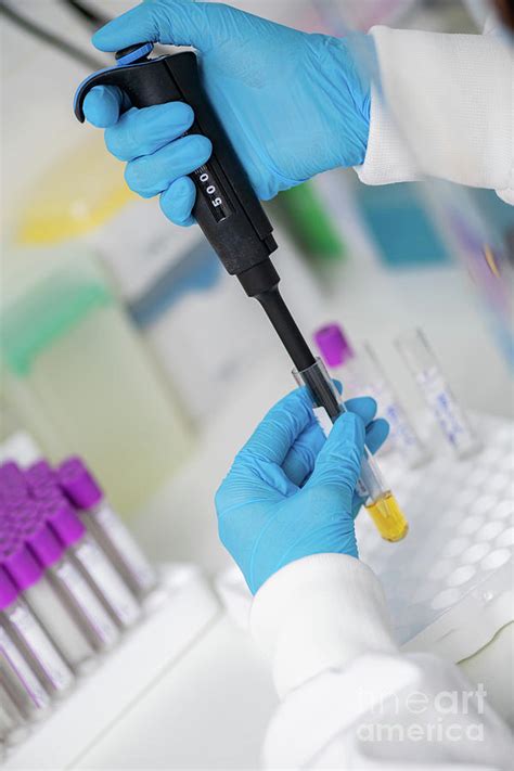 Using A Micropipette In A Lab Photograph By Microgen Imagesscience Photo Library Pixels