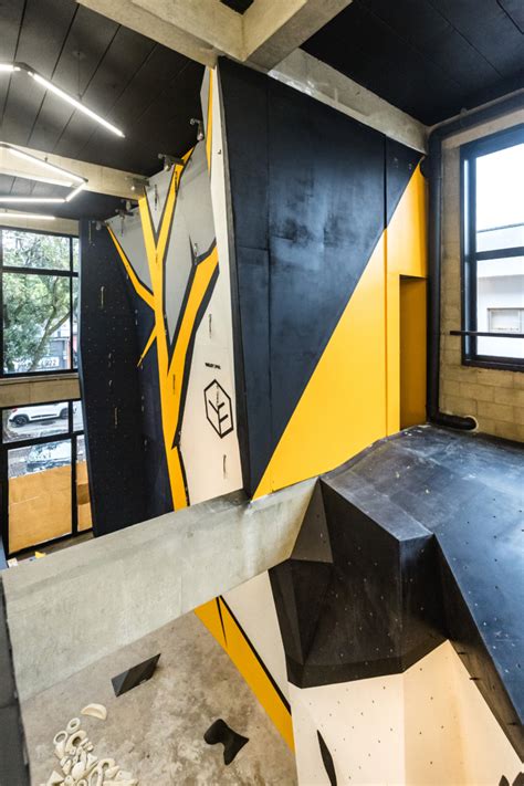 Tree Lab Walltopia