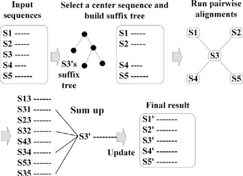 Figure 1 From Multiple Sequence Alignment Based On A Suffix Tree And