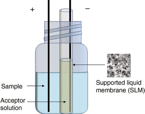 Schematic Illustration Of Electromembrane Extraction Eme With Hollow